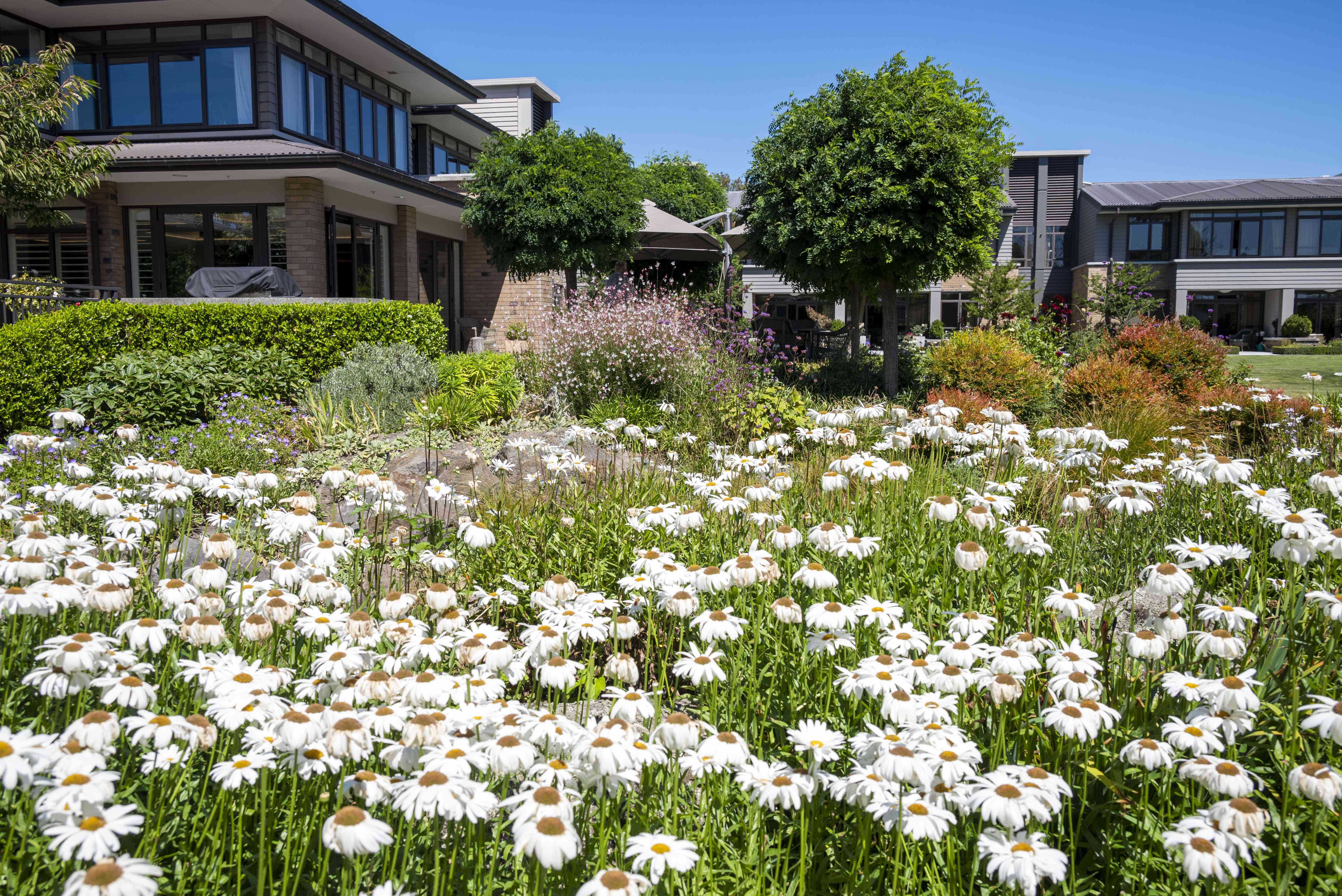 Holly Lea Village's Award-Winning Gardens - Holly Lea
